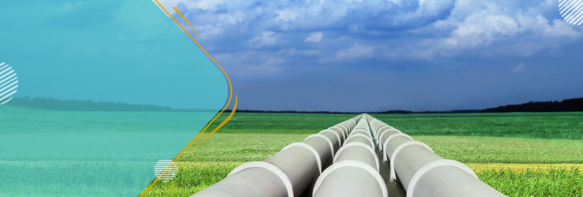 Project Advice and Leadership